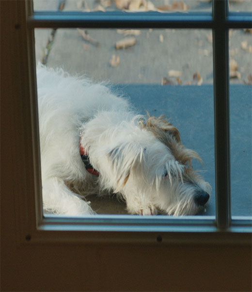 RSA Films - Jake Scott